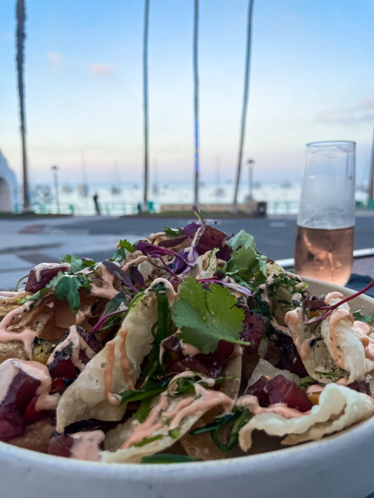 16 of the Best Things to Do in Catalina Island - The Golden Impression
