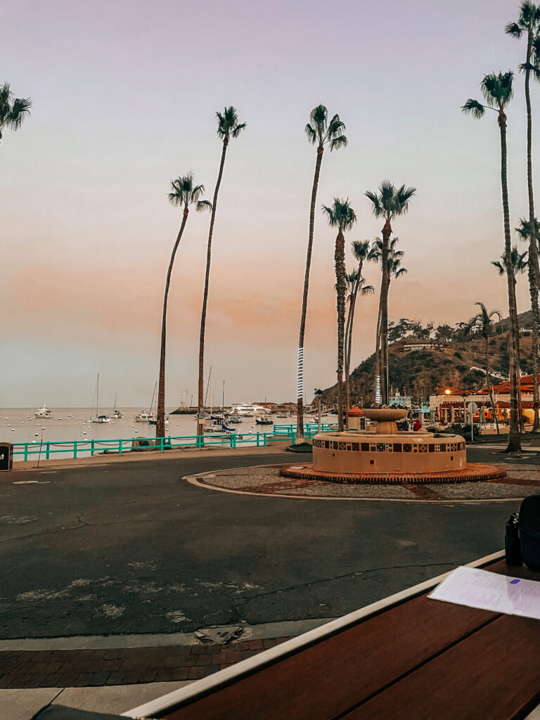 16 of the Best Things to Do in Catalina Island - The Golden Impression
