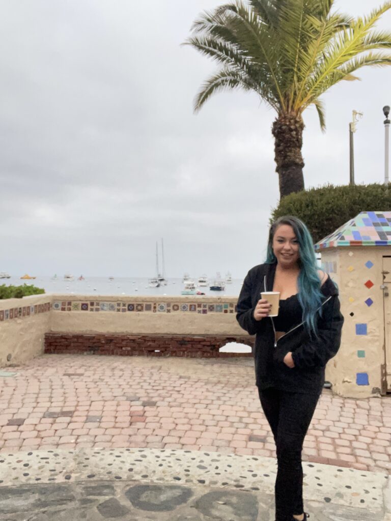 16 of the Best Things to Do in Catalina Island - The Golden Impression
