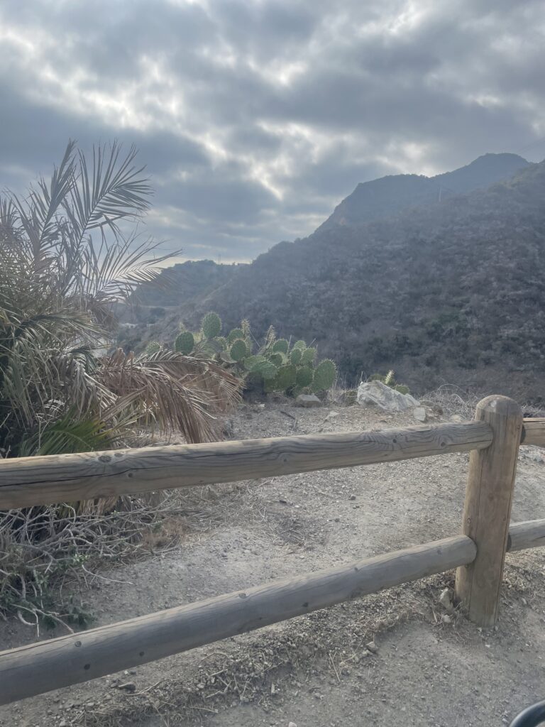 16 of the Best Things to Do in Catalina Island - The Golden Impression