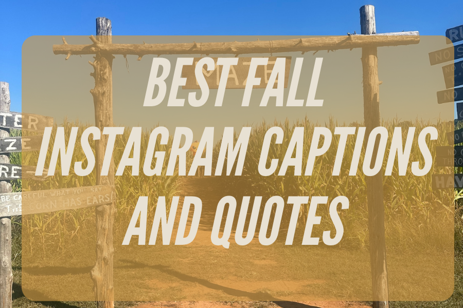 100+ Best Fall Instagram Captions and Quotes! - The Golden Impression